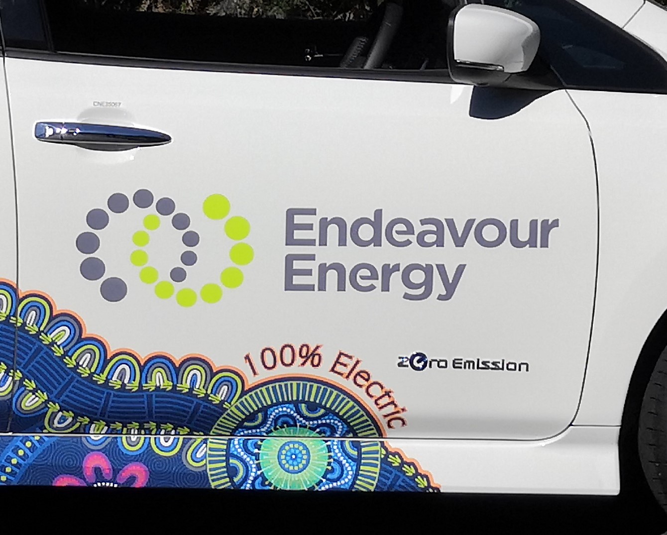 Free Advertising & WOL Branding